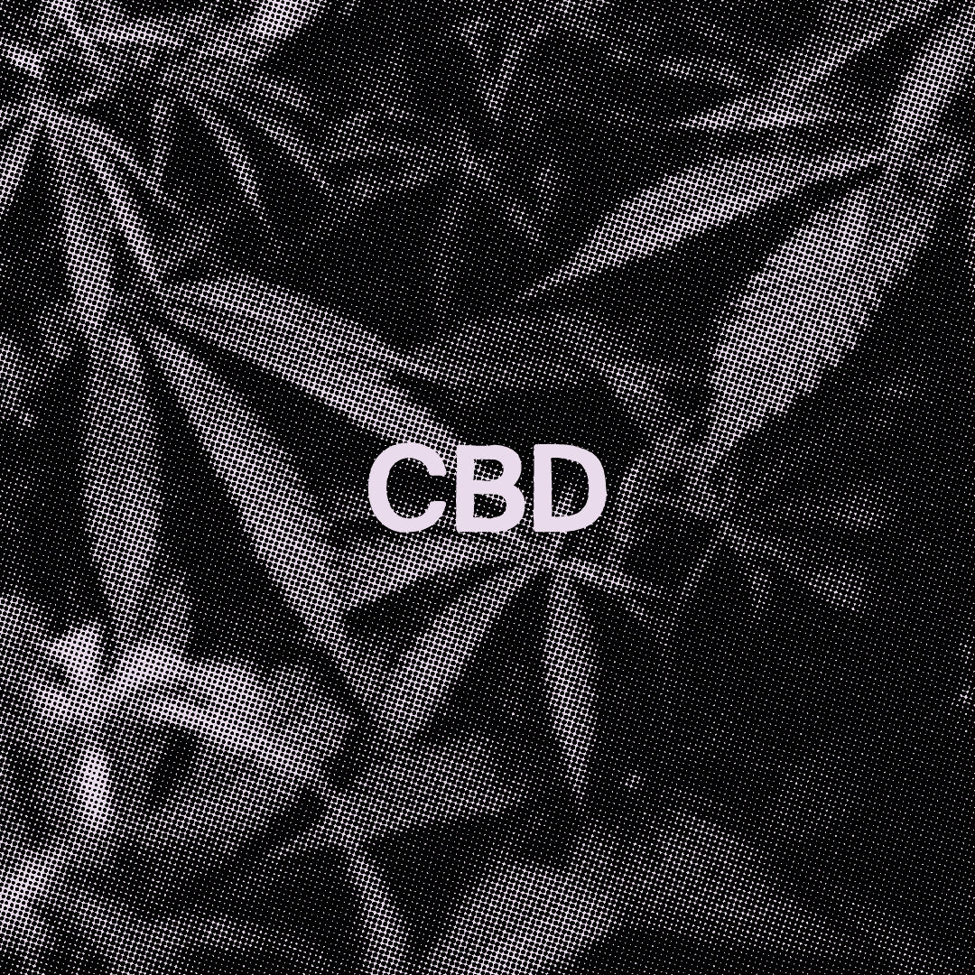 Decoding Indulgence: CBD vs. Traditional Chocolate